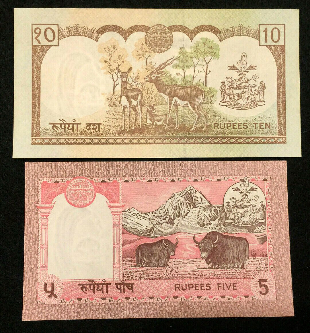Nepal 1 2 5 and 10 Rupees Banknote Set World Paper Money UNC Currency ...