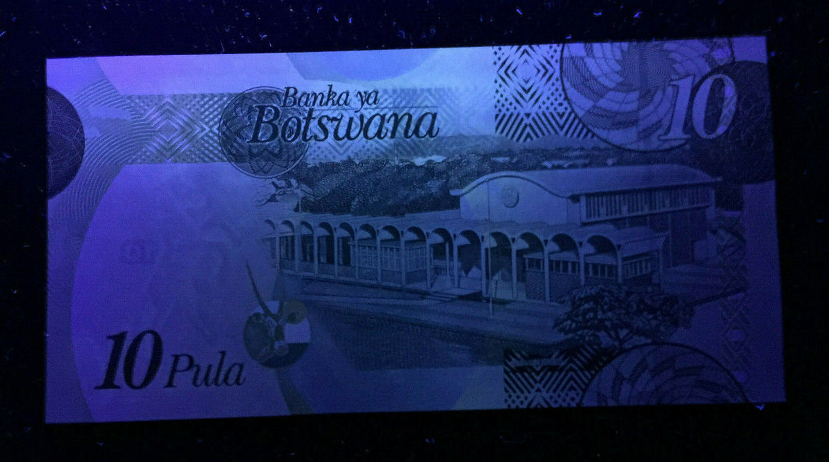 Botswana 10 Pula 2020 Banknote World Paper Money UNC Currency Bill Not ...